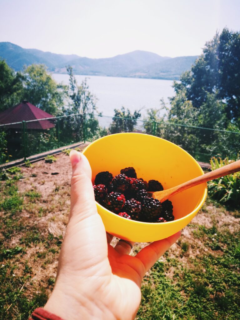 Calendarul fructelor și legumelor de vară: august – trai.domol